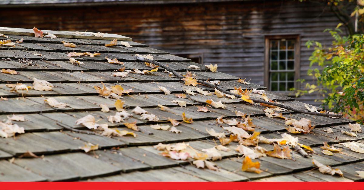 When Is the Best Time of Year to Replace Your Roof? Expert Tips